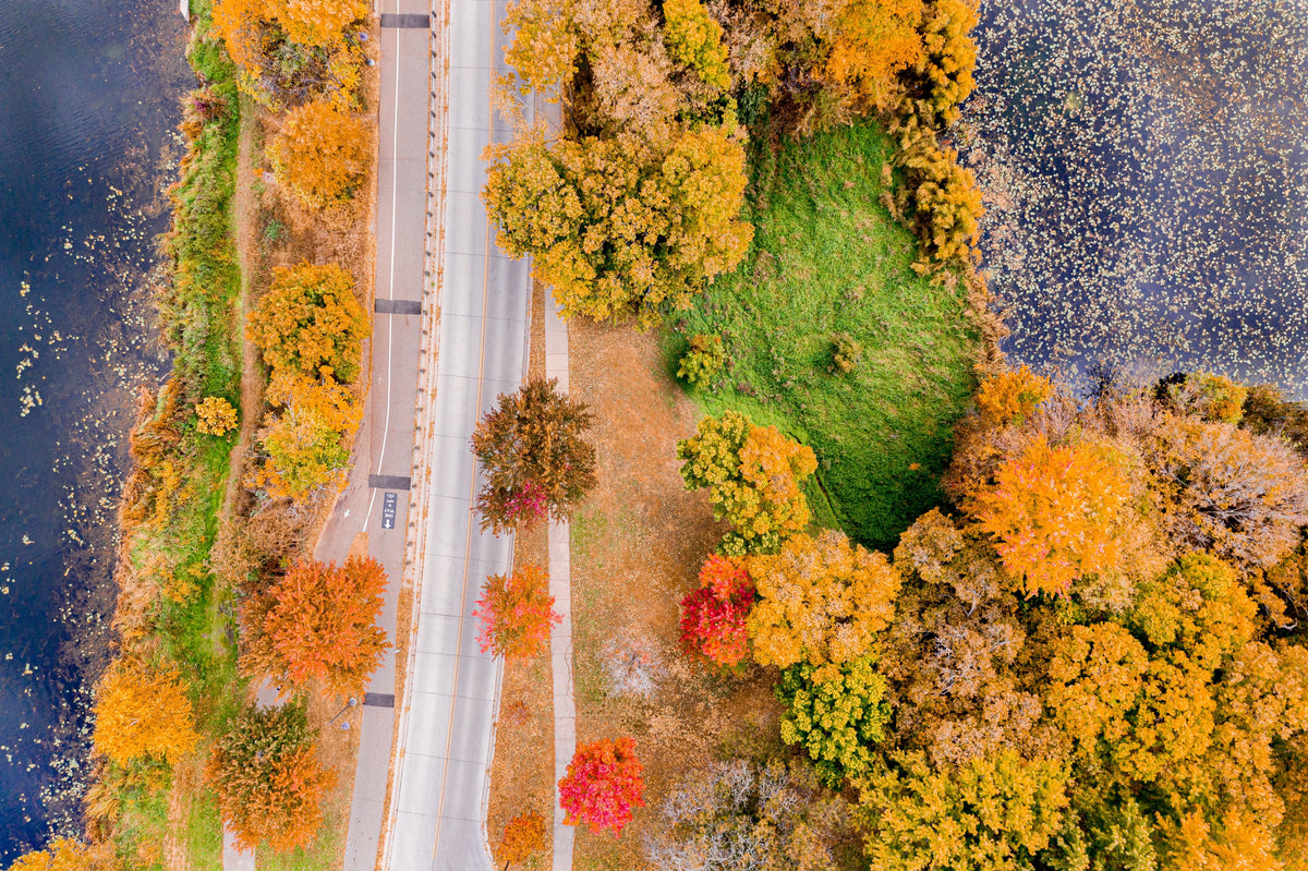 Natural Beauty of Fall - OGEE Visuals by Omar Ghrayeb - 2025