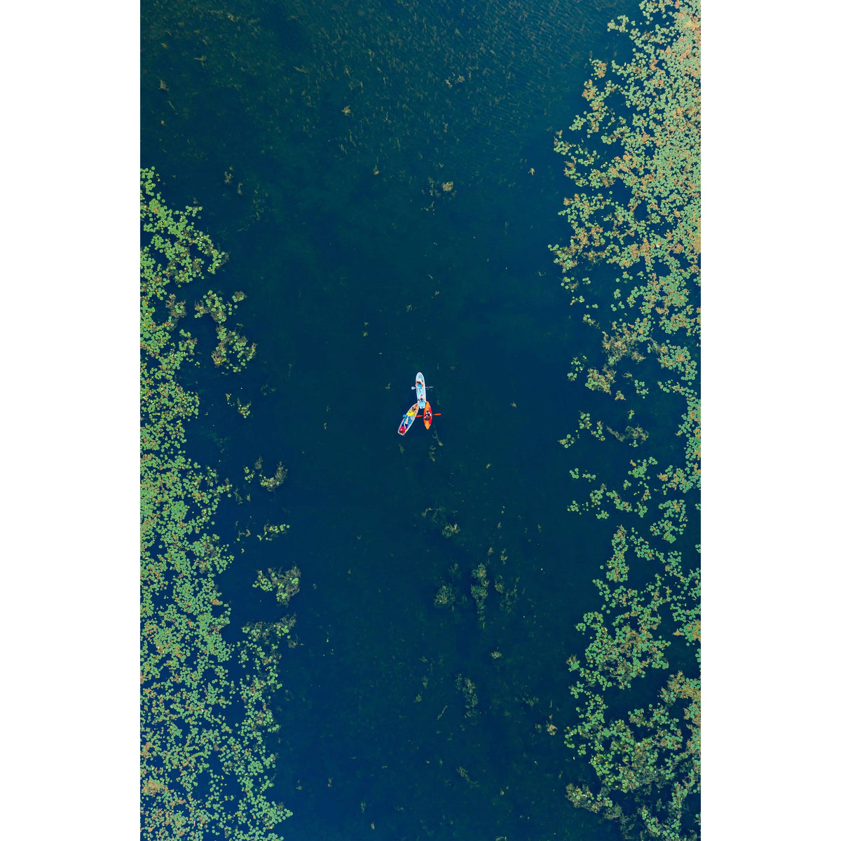 Lake Gathering - OGEE Visuals by Omar Ghrayeb - 2025